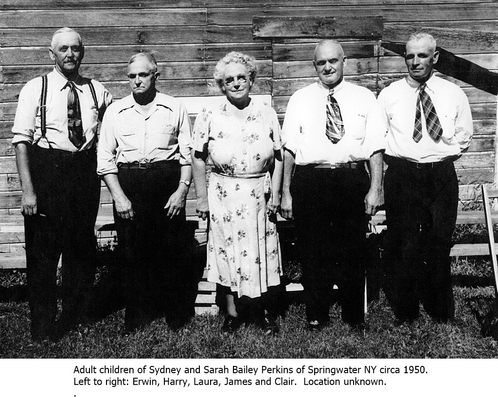 The Perkins Family Photo Gallery - Hemlock and Canadice Lakes