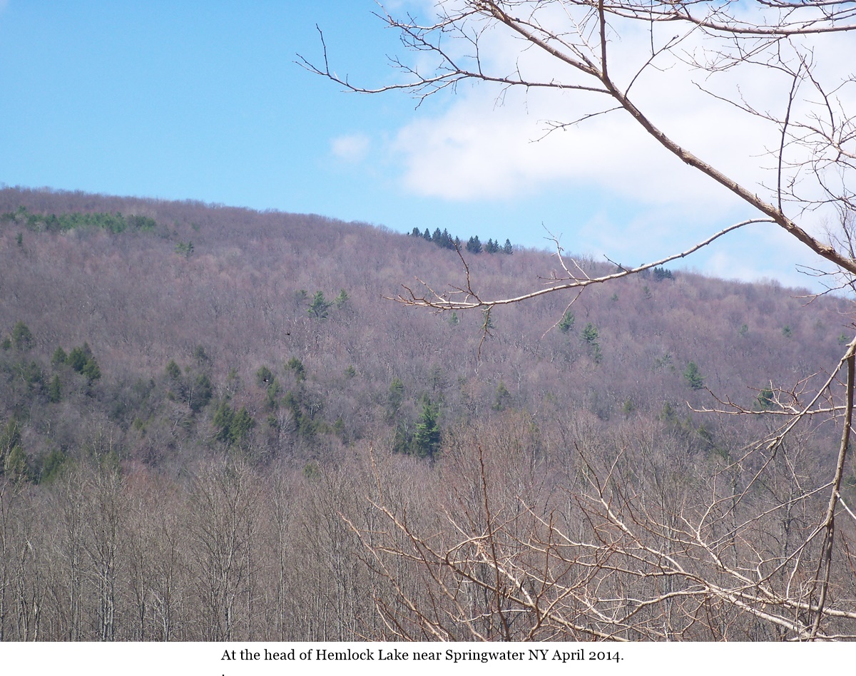 Judy Tripp-Neu Photo Gallery - Hemlock and Canadice Lakes