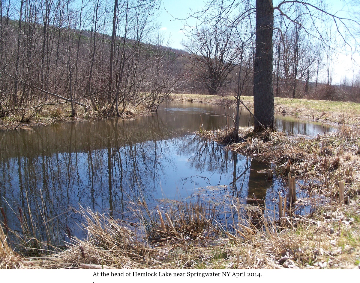 Judy Tripp-Neu Photo Gallery - Hemlock and Canadice Lakes