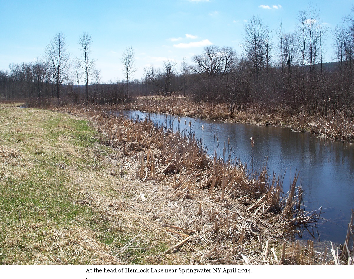 Judy Tripp-Neu Photo Gallery - Hemlock and Canadice Lakes