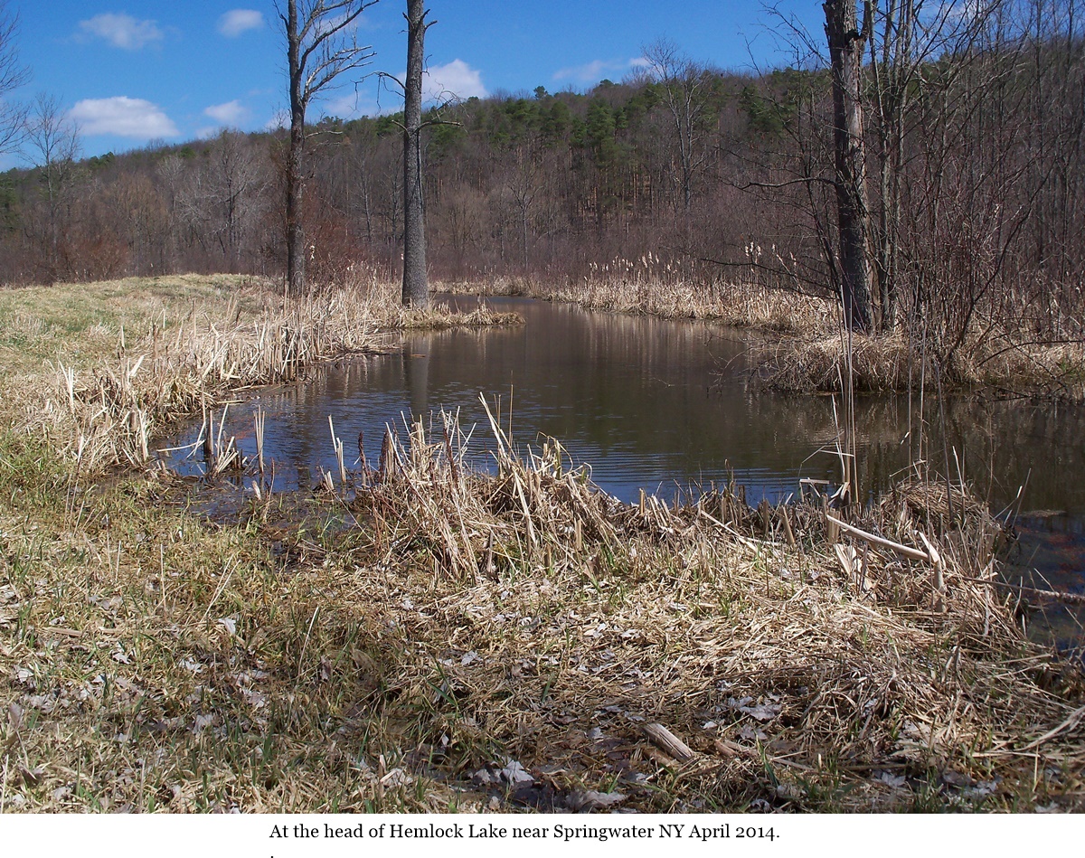 Judy Tripp-Neu Photo Gallery - Hemlock and Canadice Lakes
