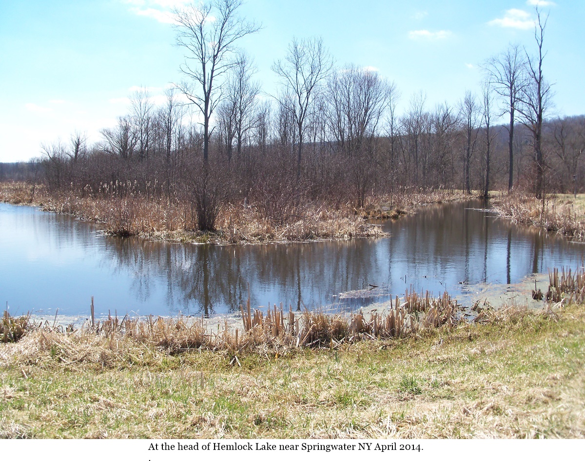 Judy Tripp-Neu Photo Gallery - Hemlock and Canadice Lakes