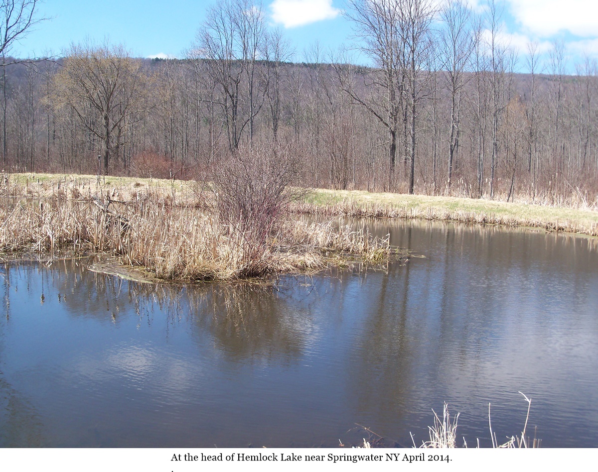 Judy Tripp-Neu Photo Gallery - Hemlock and Canadice Lakes