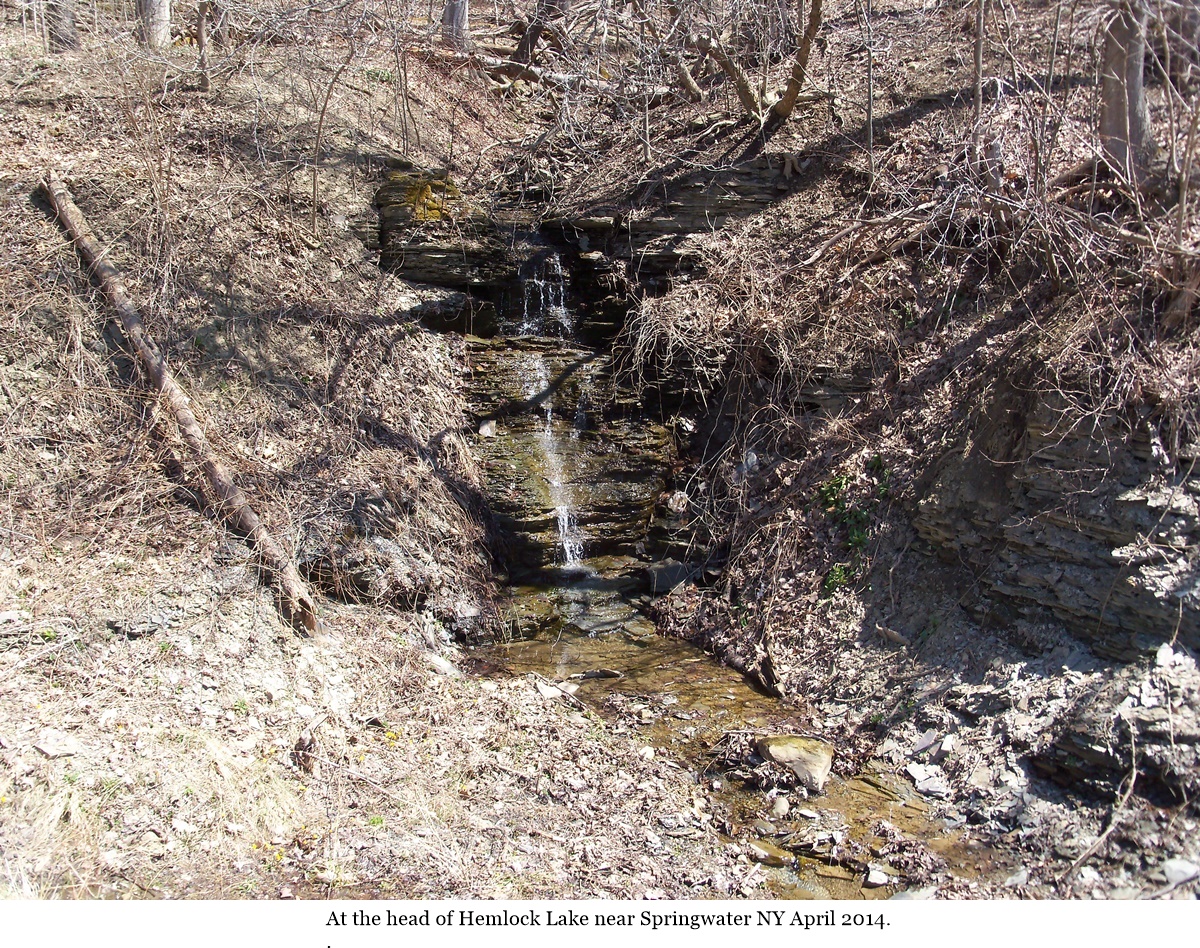 Judy Tripp-Neu Photo Gallery - Hemlock and Canadice Lakes